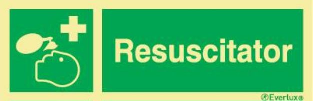 Webshop Datema Nautical Safety. Resuscitator with complementary text ...