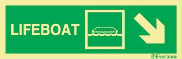 Webshop Datema Nautical Safety. Lifeboat directional arrow down right ...